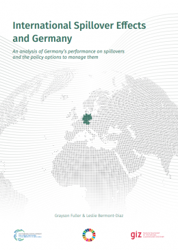 SDSN veröffentlicht Spillover-Bericht und Spillover-Toolkit | 2030 Agenda